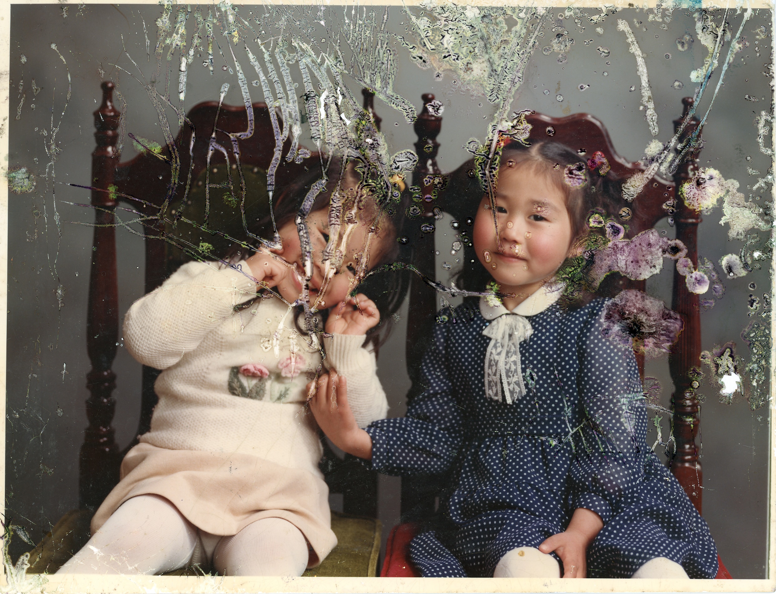 De Japanse fotograaf Mayumi Suzuki maakte een boek over het verlies van ...