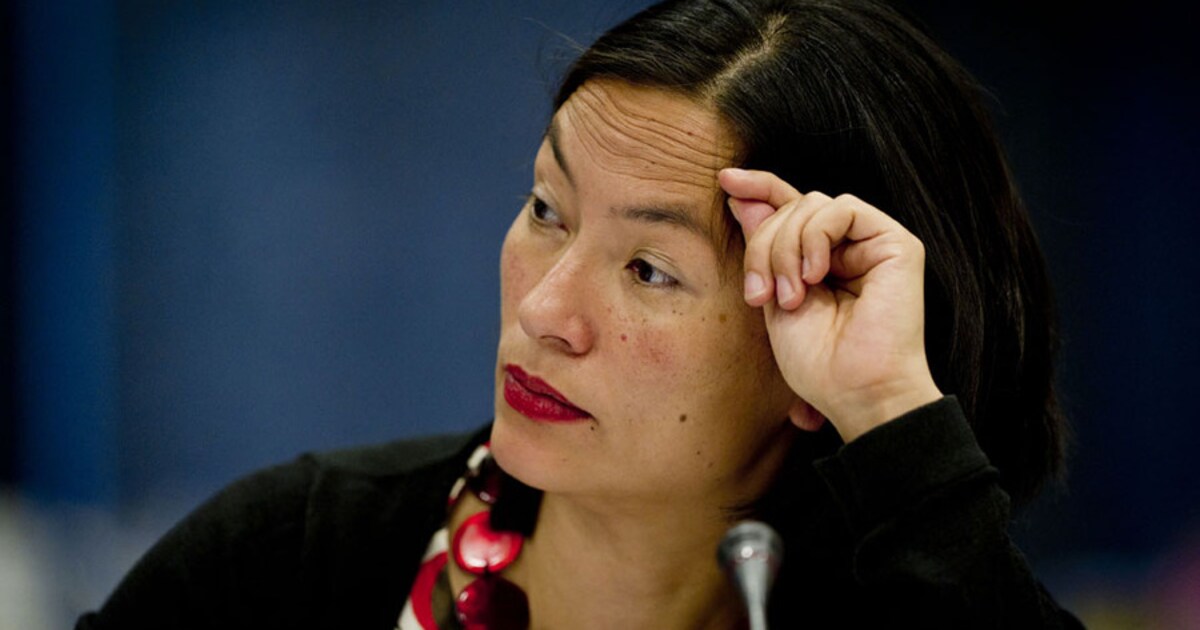 Analyse kwestie-Peters: Zwijgen helpt niet meer, GroenLinks | de Volkskrant