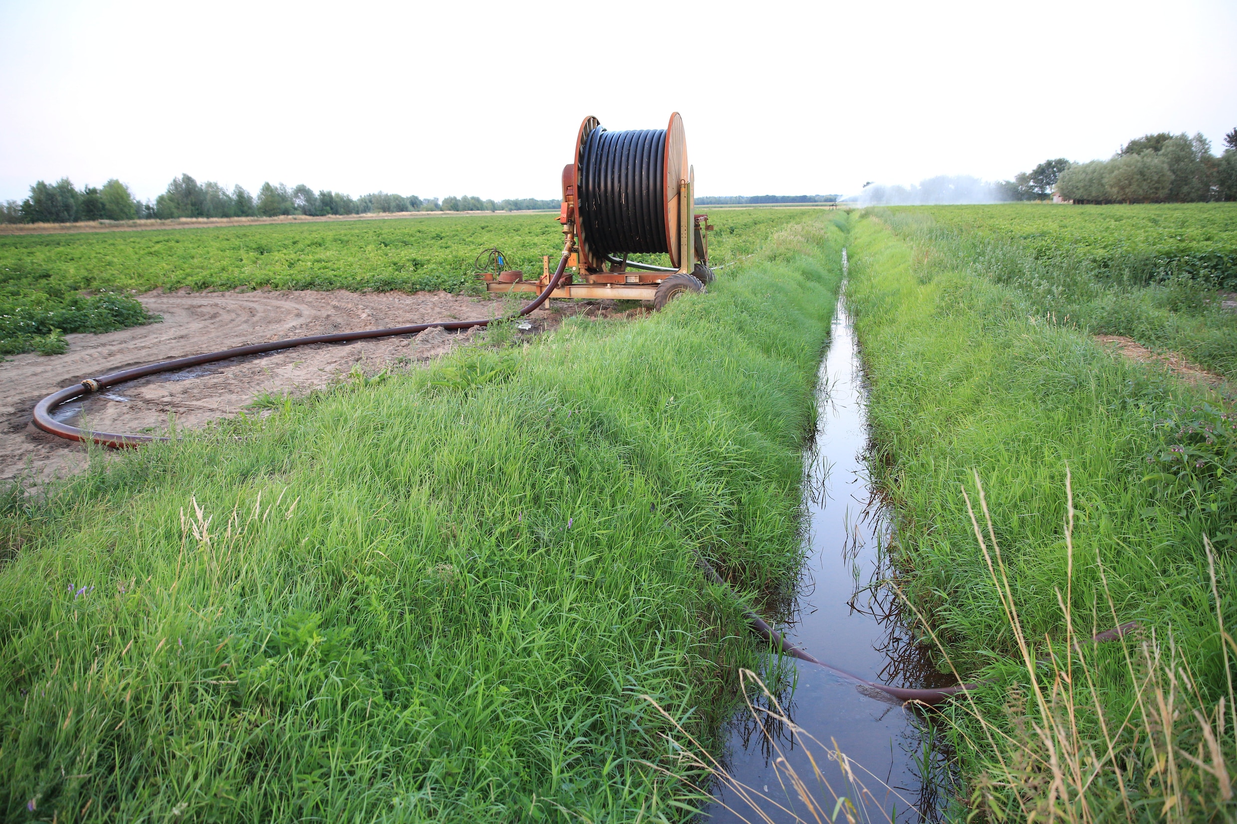 Voor het eerst verbod op sproeien met grondwater op de Veluwe | de ...