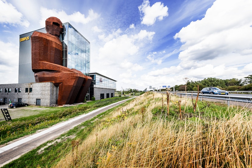 Een tripje door de darmen met het gezin: waarom is interactief museum ...