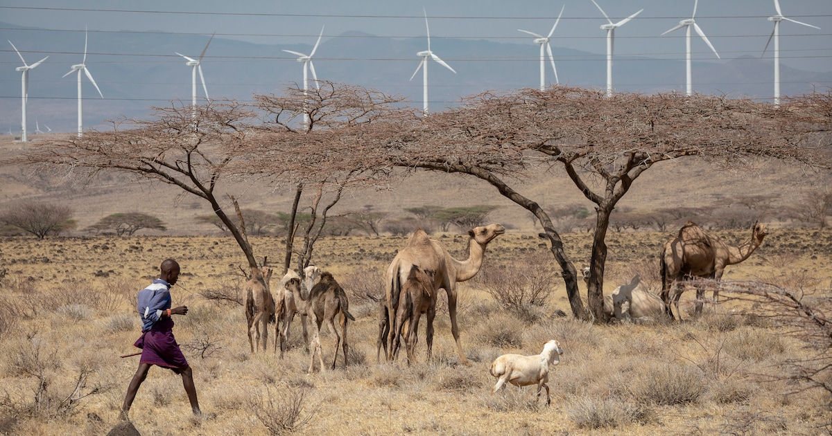 Opinie: Klimaatverandering én migratie verdienen aandacht bij Europese ...