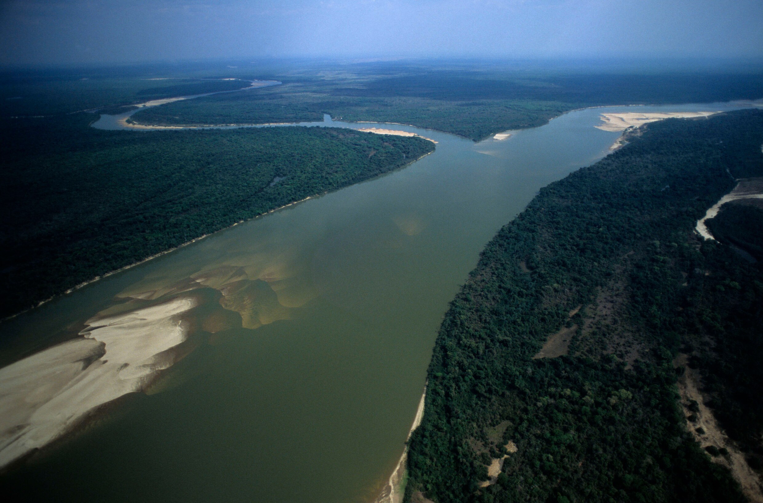 Bescherm Amazonegebied en zijn inheemse inwoners | de Volkskrant