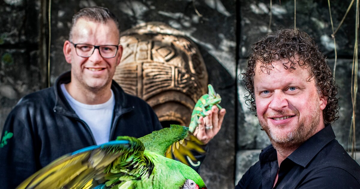 Avonturia De Vogelkelder is méér dan een dierenwinkel | de Volkskrant