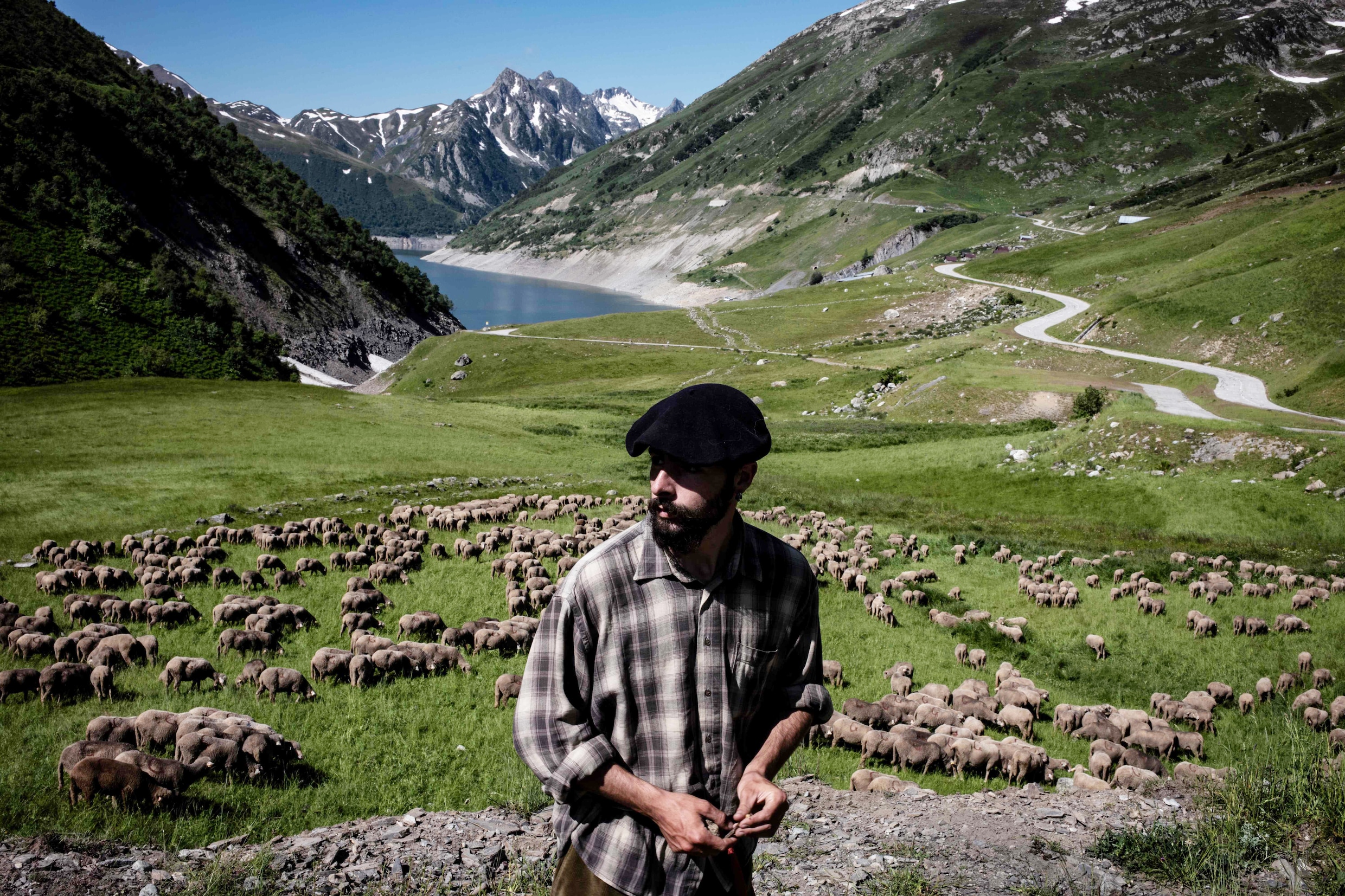 Deze herder woont boven de boomgrens van de Franse Alpen, met 1.300 ...