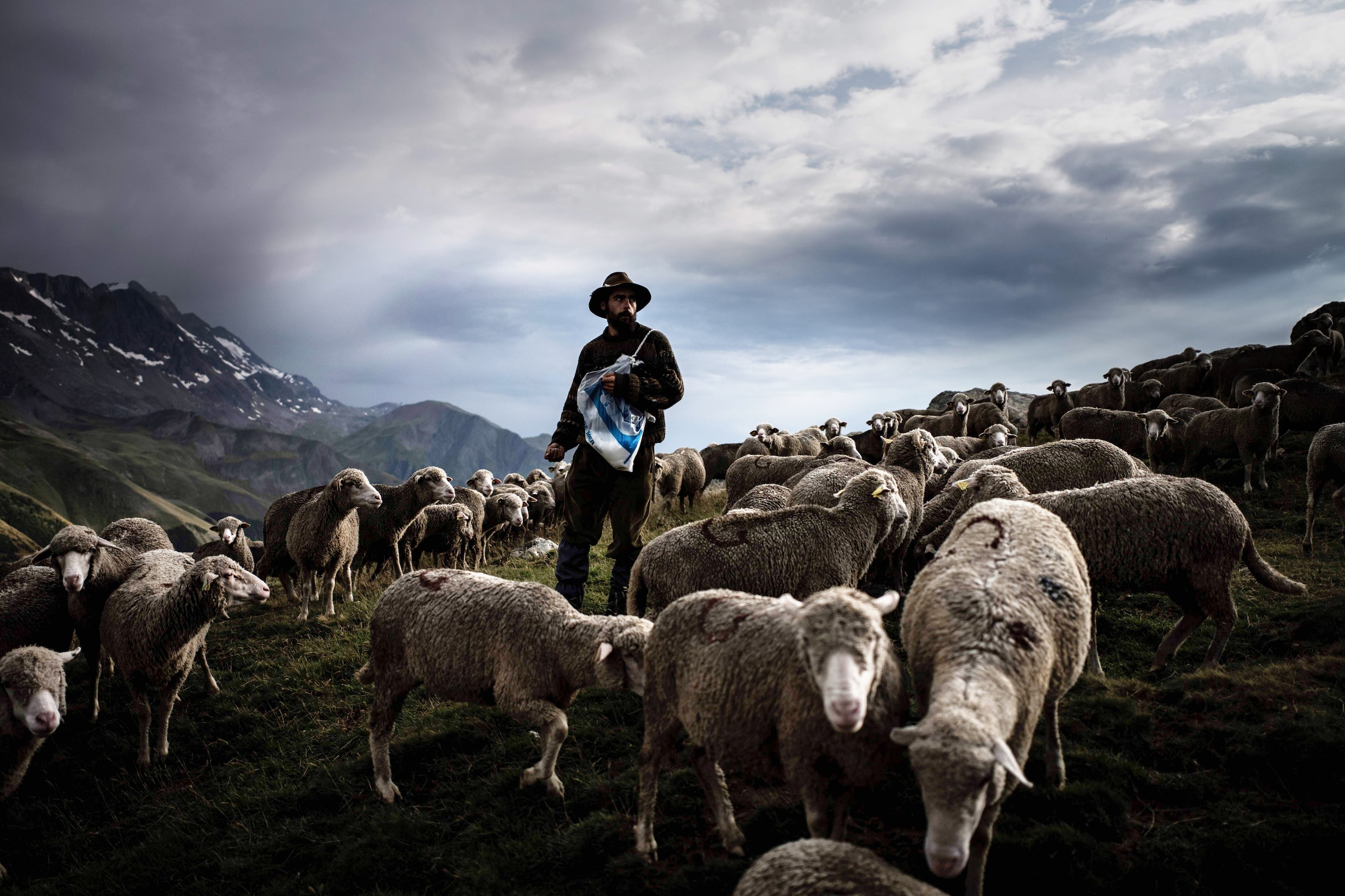 Deze herder woont boven de boomgrens van de Franse Alpen, met 1.300 ...