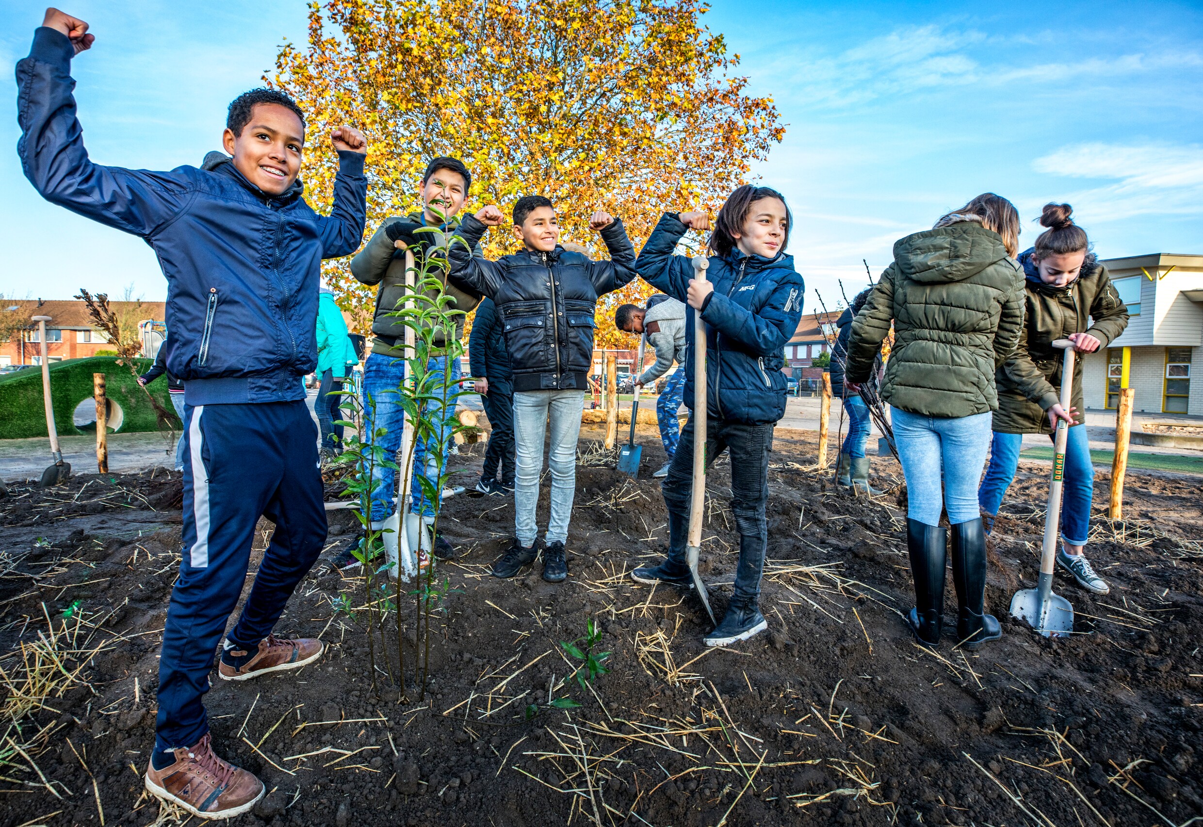 Door een minibos op het schoolplein komen stadskinderen meer in contact ...