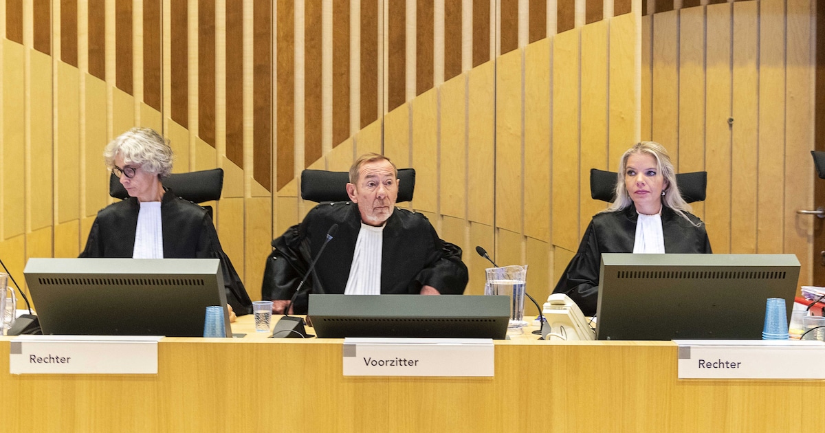 Organisaties die actief zijn in de rechtspraak zullen nieuwe ...