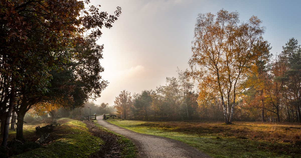 Van pelgrimage tot ommetje: dit zijn onze ultieme wandeltips voor deze ...