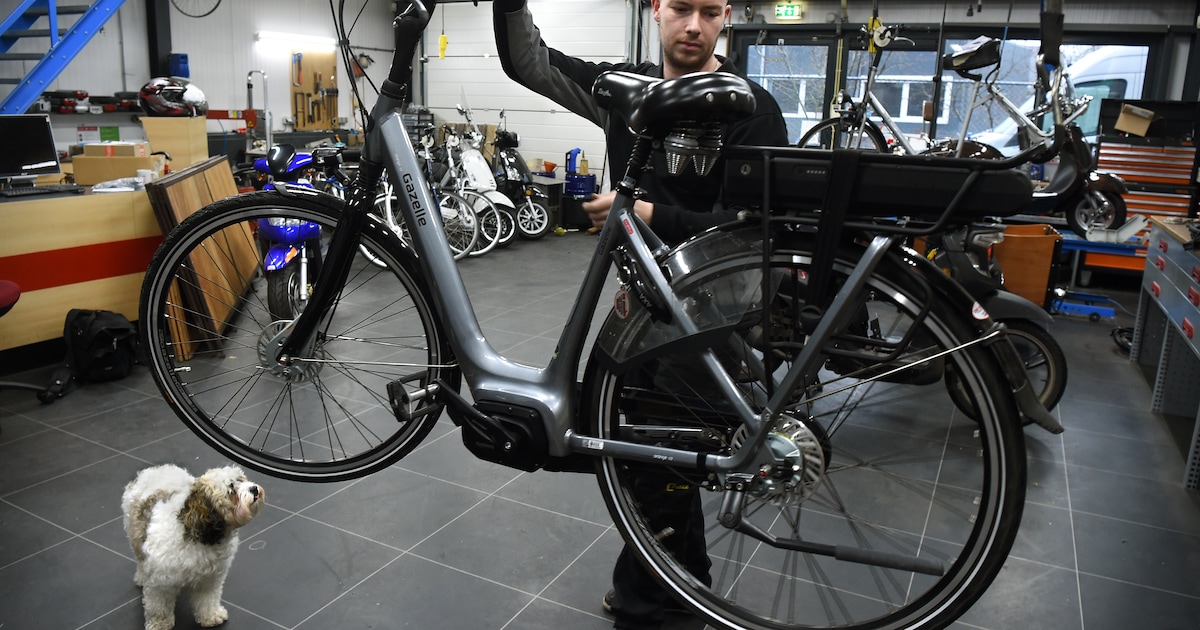 Sticker met framenummer maakt het professionele fietsendieven te ...