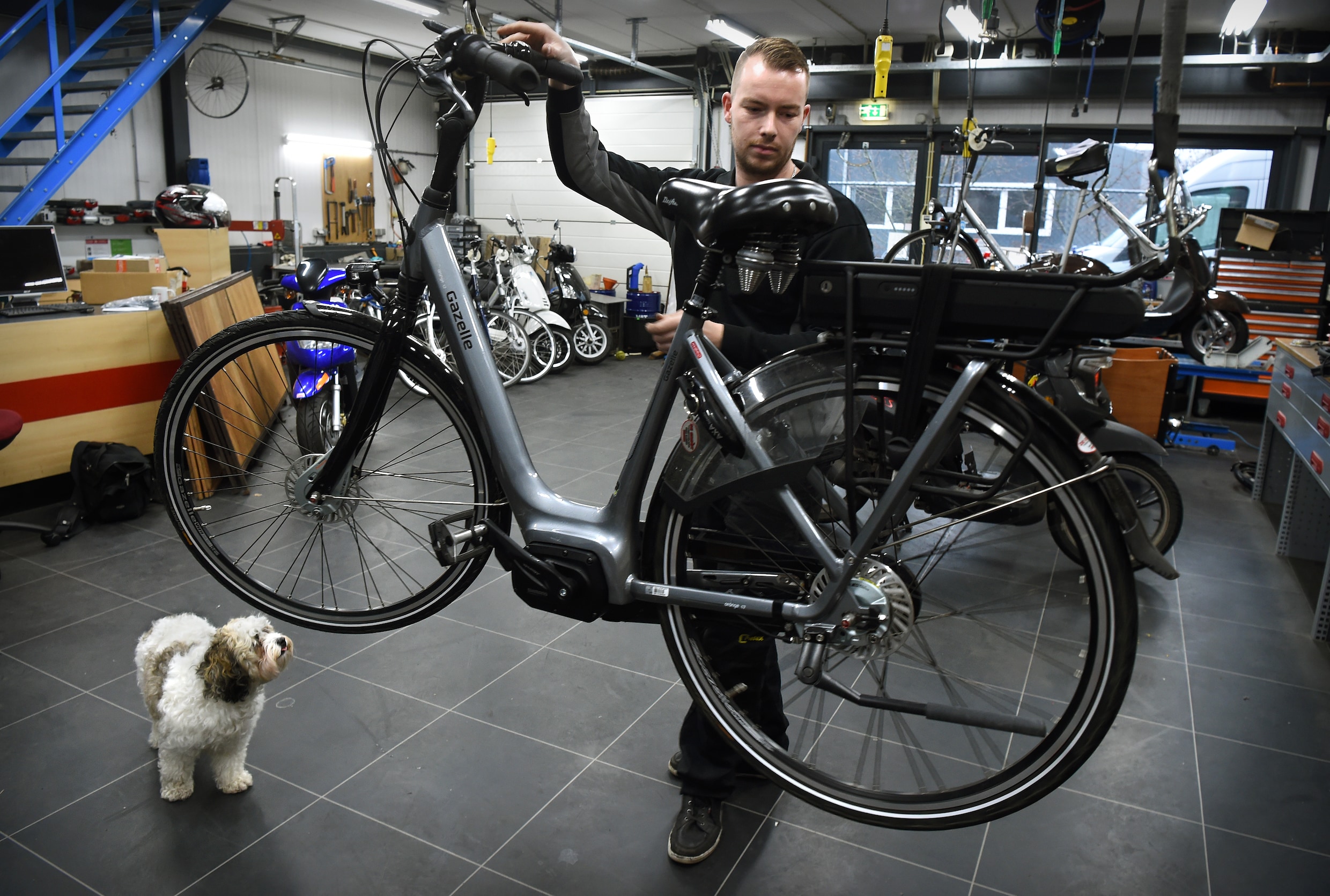 Sticker met framenummer maakt het professionele fietsendieven te ...