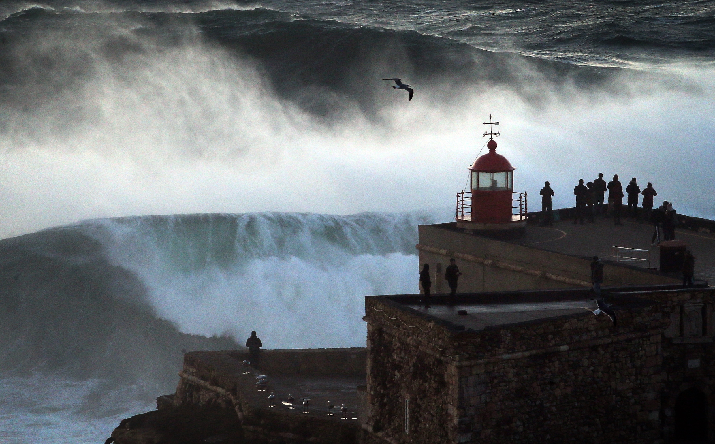 Hoe surfers de extreem hoge golven van Nazaré ontdekten | de Volkskrant