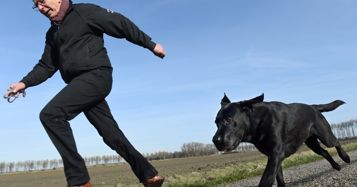Weg met de blaftaks! - dat wil Yanover met hond Luna in de Kamer gaan ...
