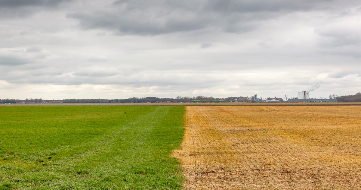Vakblad trekt toonaangevende studie naar glyfosaat terug: ‘Invloed ...