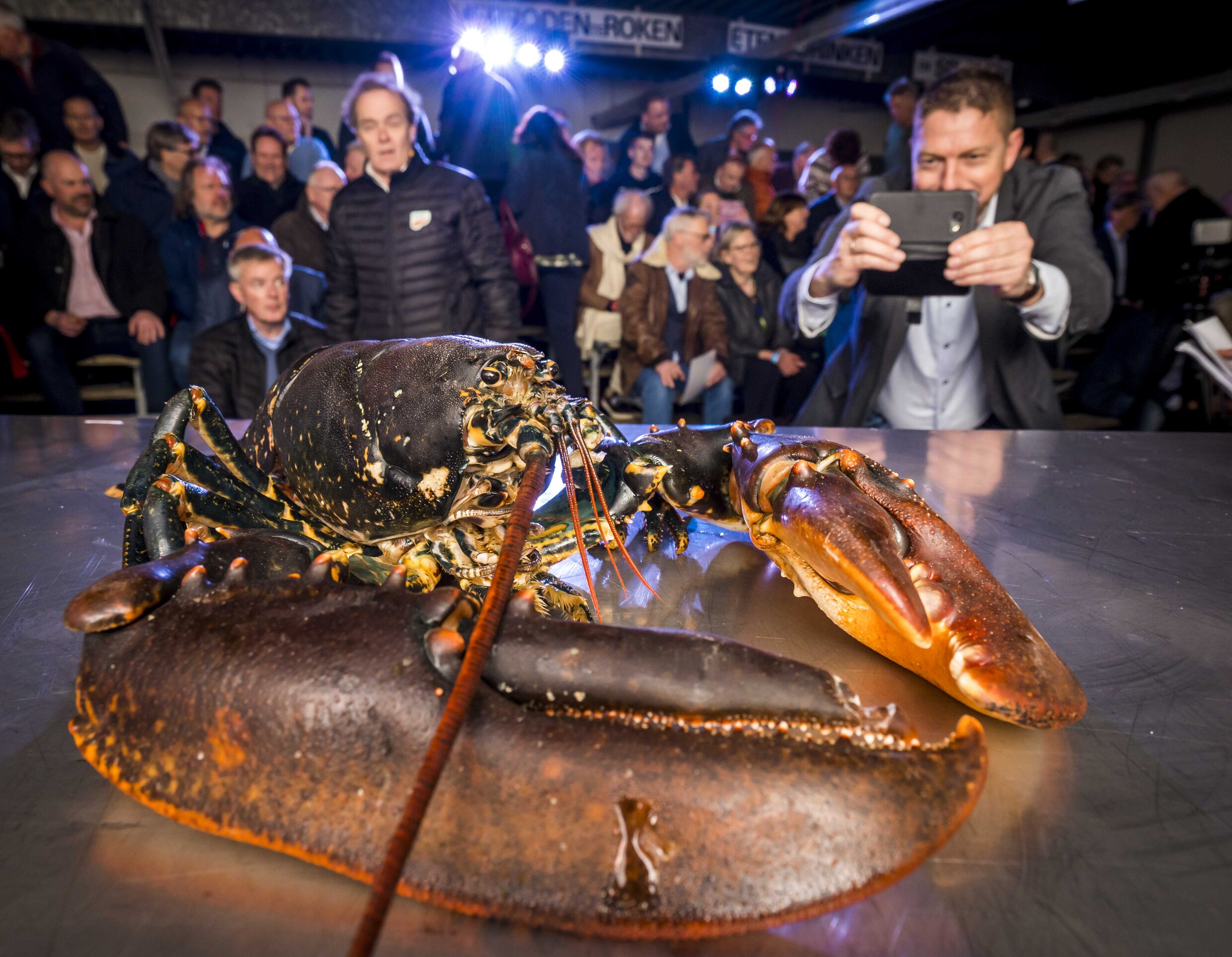 Minister Schouten: kook krabben en kreeften niet meer levend | de ...