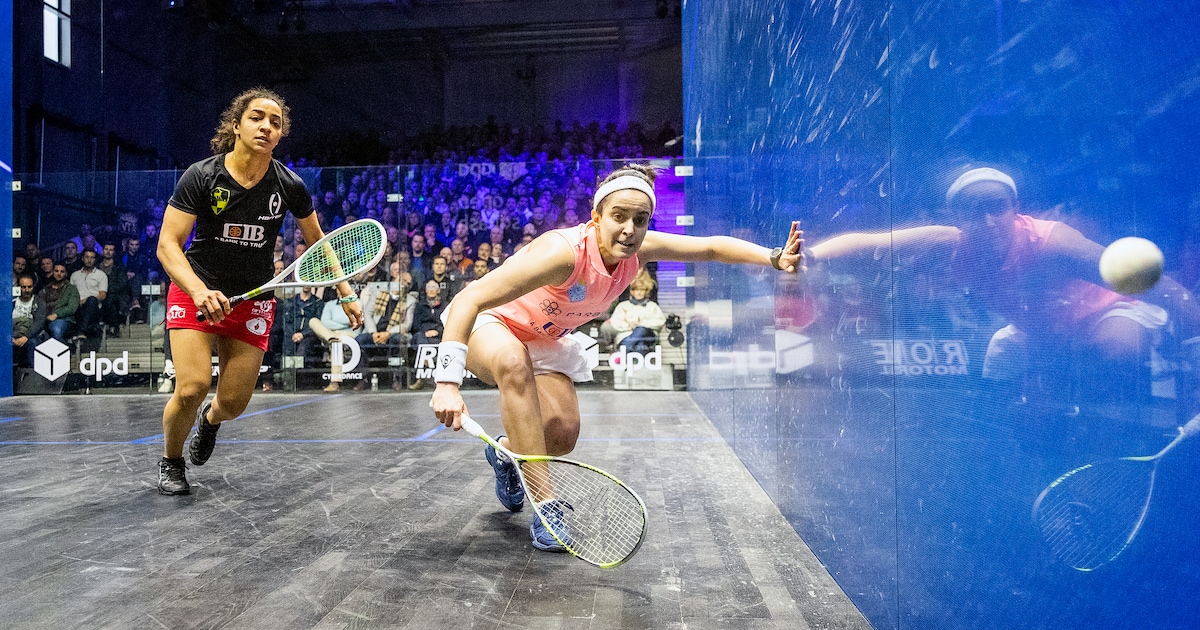 Zo werd de Dutch Open squash in Brabant een Egyptisch onderonsje | de ...