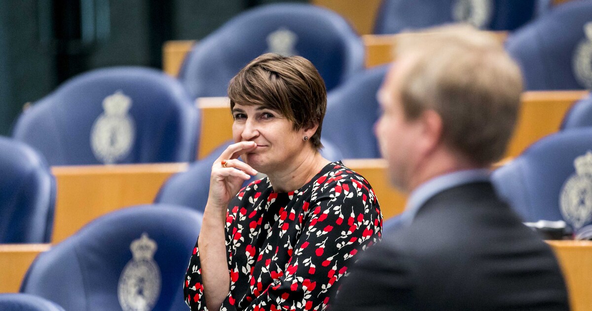 Ploumen laat opvolger Kaag beduusd achter | de Volkskrant