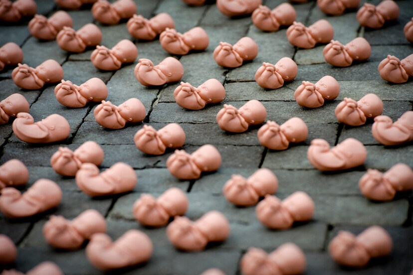 Pro-life heeft de wind mee: de macht van de anti-abortusbeweging wordt ...