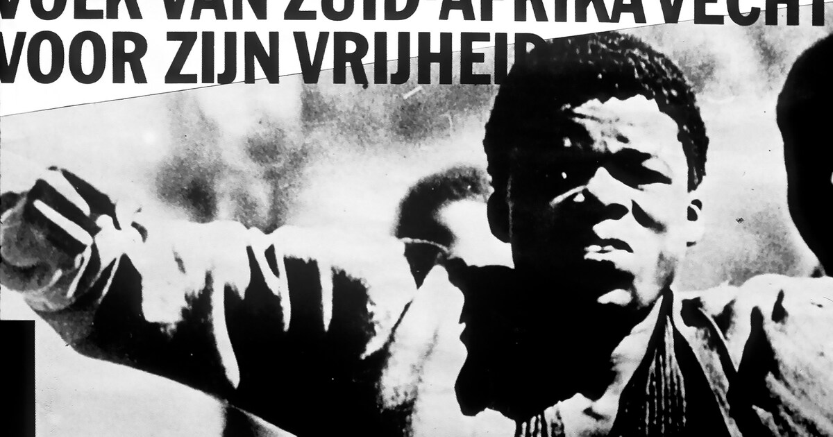 De anti-apartheidsbeweging van de jaren zeventig hoort in het rijtje ...