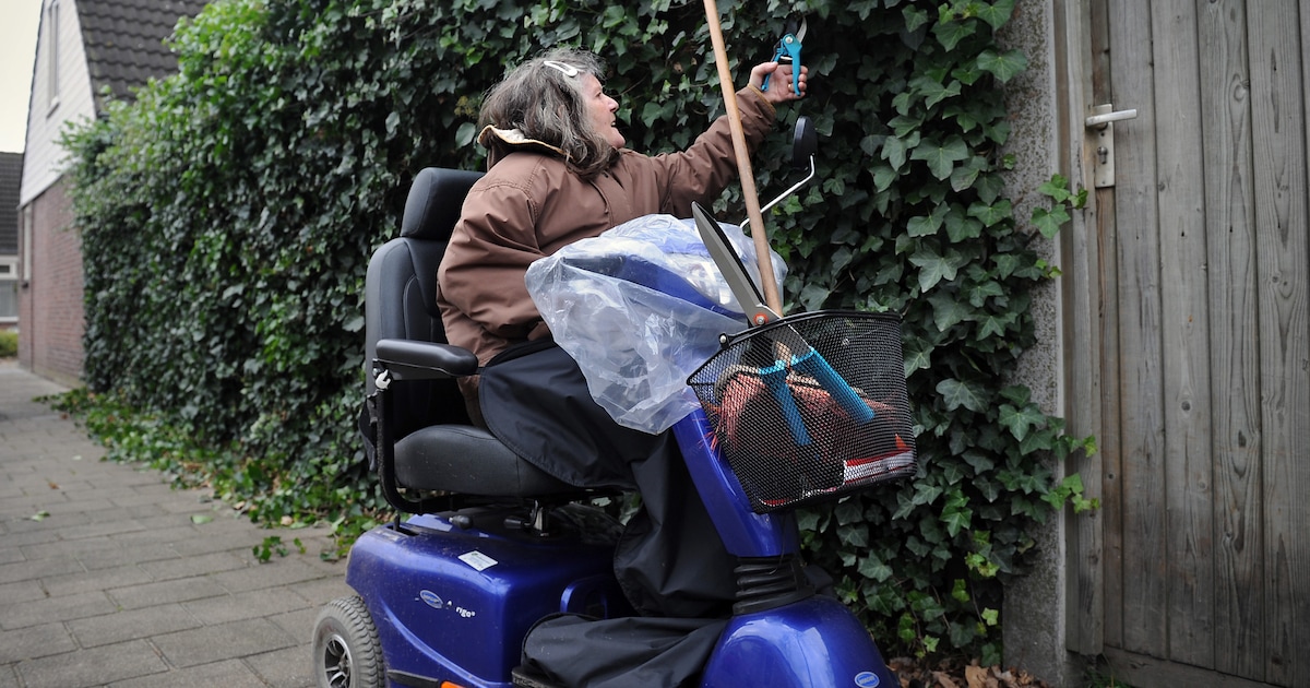 Planten ‘piepen’ wanneer je in ze snijdt (maar dat betekent niet dat ze ...