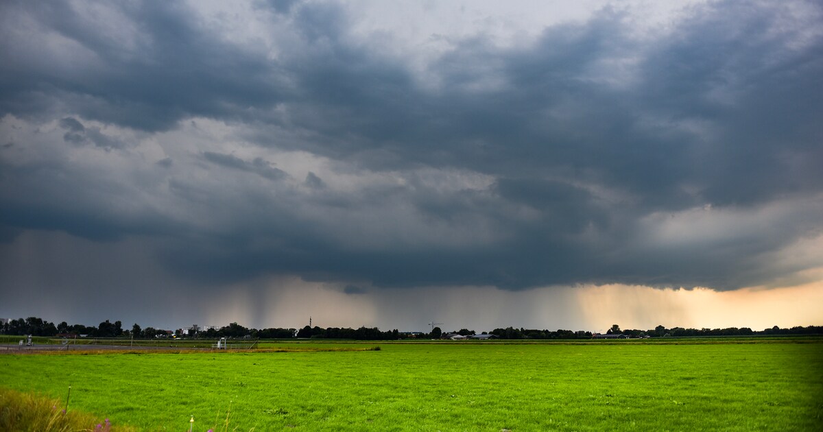Het weerbericht van vrijdag 31 januari: zeer zacht, wel regen | de ... Het weerbericht van vrijdag 31 januari: zeer zacht, wel regen | de ...