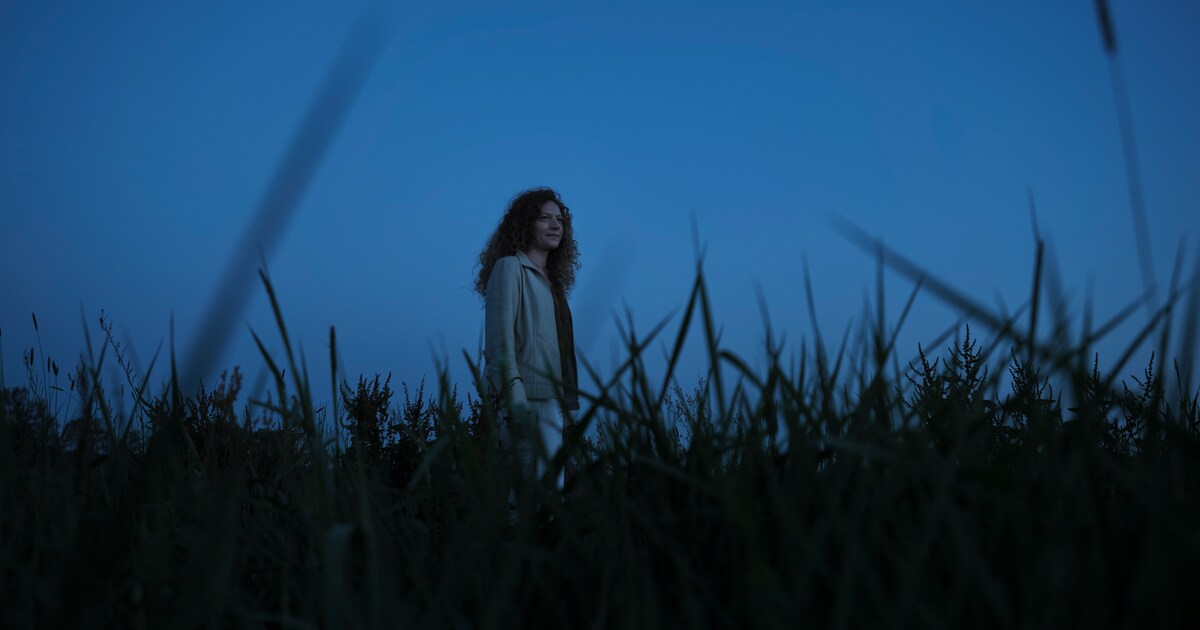 ‘Archeoloog van de sterren’ Amina Helmi krijgt de Spinozapremie, de ...