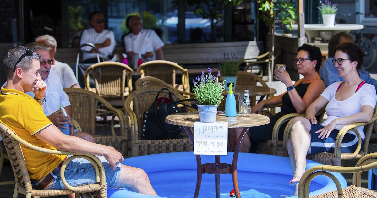 Wat doet hitte met ons lichaam, en met het sterftecijfer? | de Volkskrant