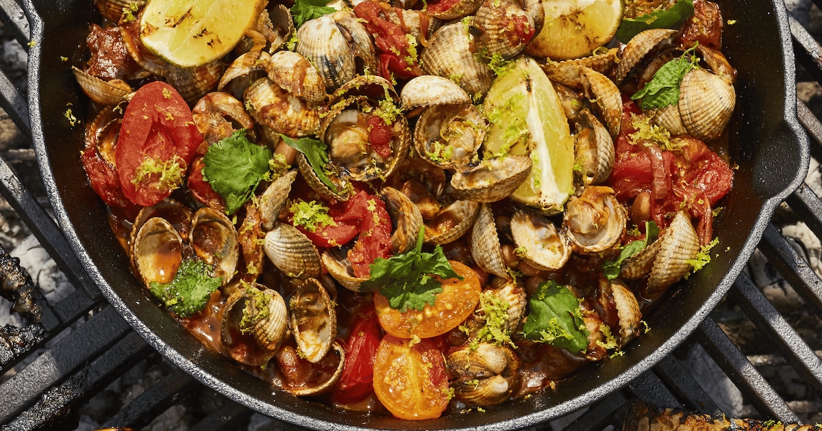 Kokkels mensen, koop en proef ze nou eens | de Volkskrant