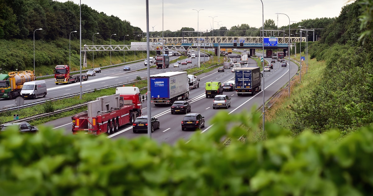 Wat is er schadelijk aan stikstof en waarom moet het beperkt worden? | de Volkskrant