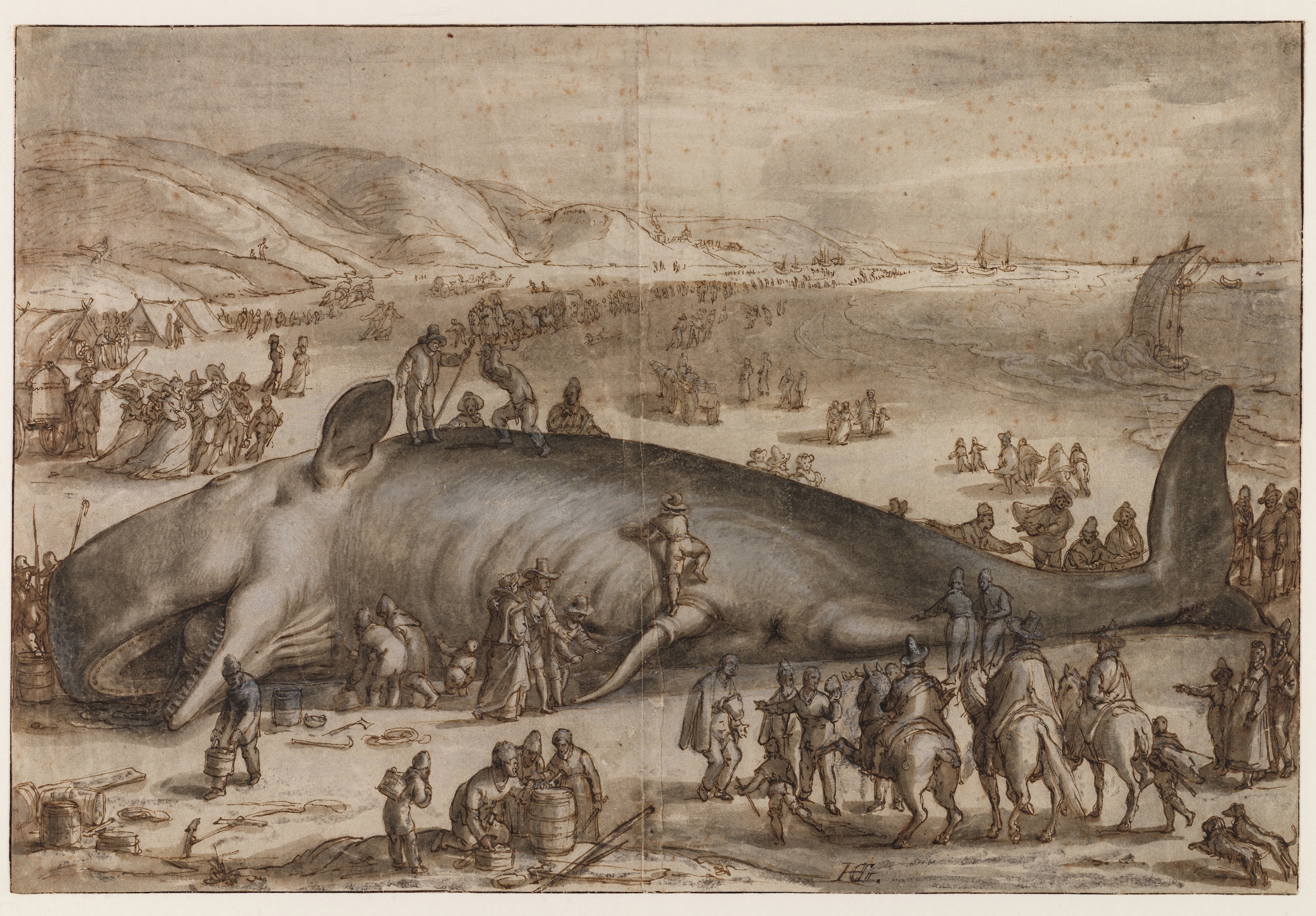 Religieus, seksueel, sociaal en artistiek: de walvis staat centraal in ...