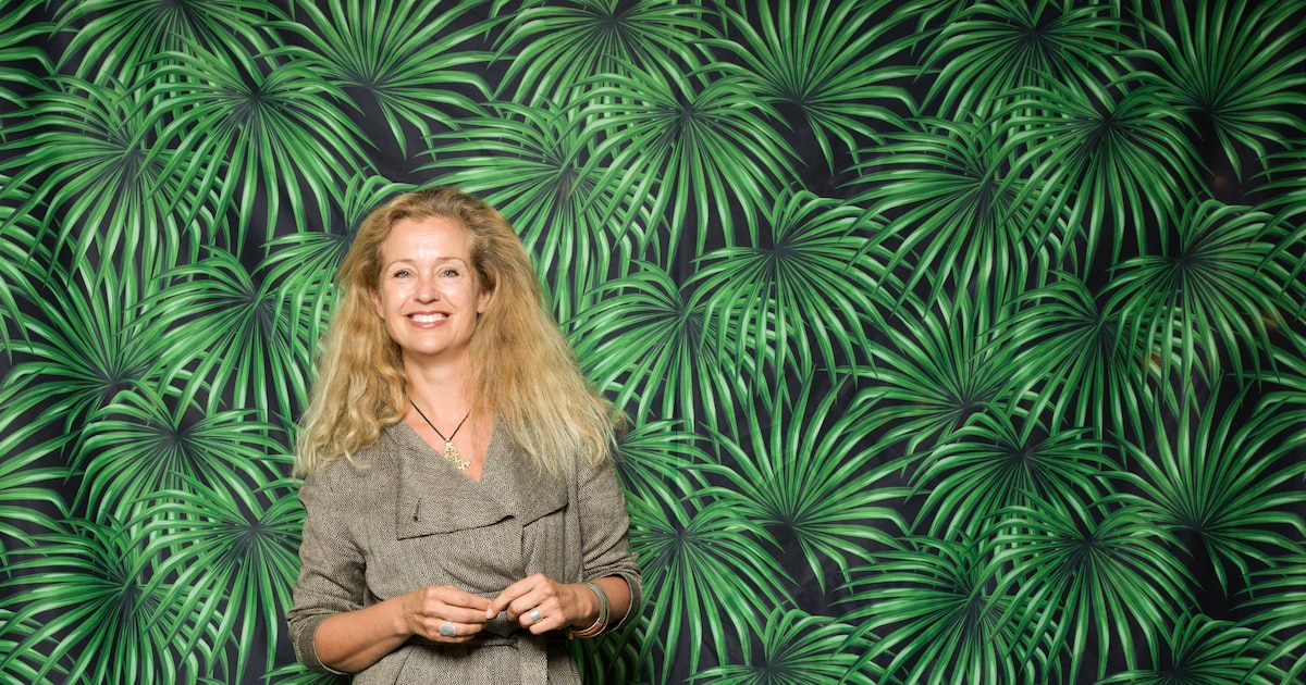 ‘Zonder lef gaan we niks veranderen’ | de Volkskrant