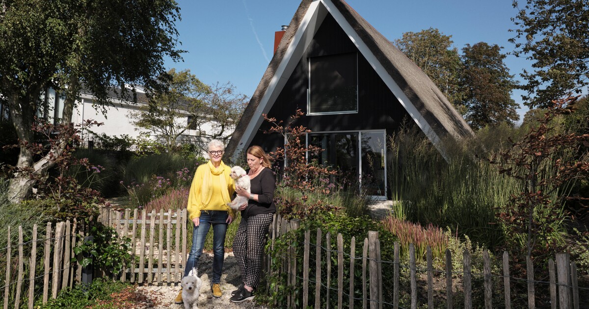 Het is eindelijk weekend. Wat doet schrijver Carry Slee? | de Volkskrant