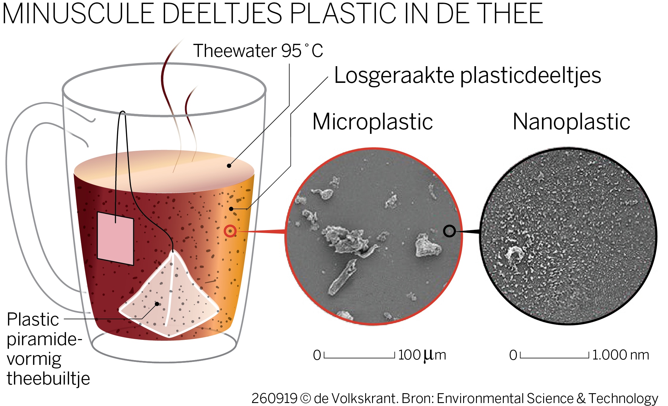 Plastic theezakje blijkt bron van microplastic | de Volkskrant