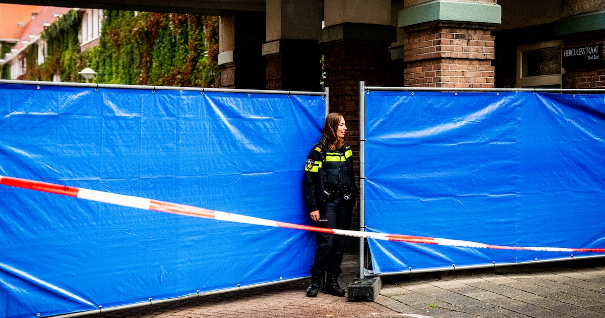 Aantal moorden in Nederland daalt verder | de Volkskrant