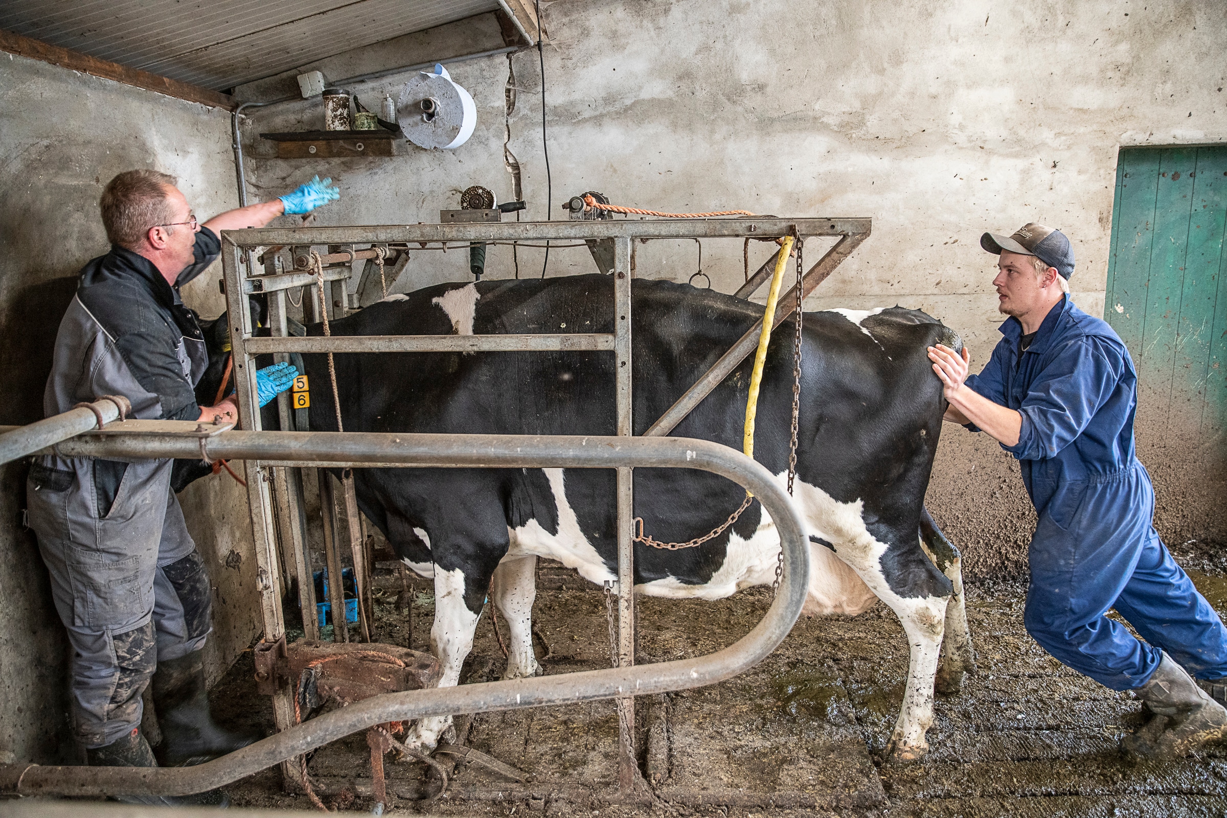 De natuurbeschermer, boer en stikstofcrisis: ‘Op deze manier gaat het ...