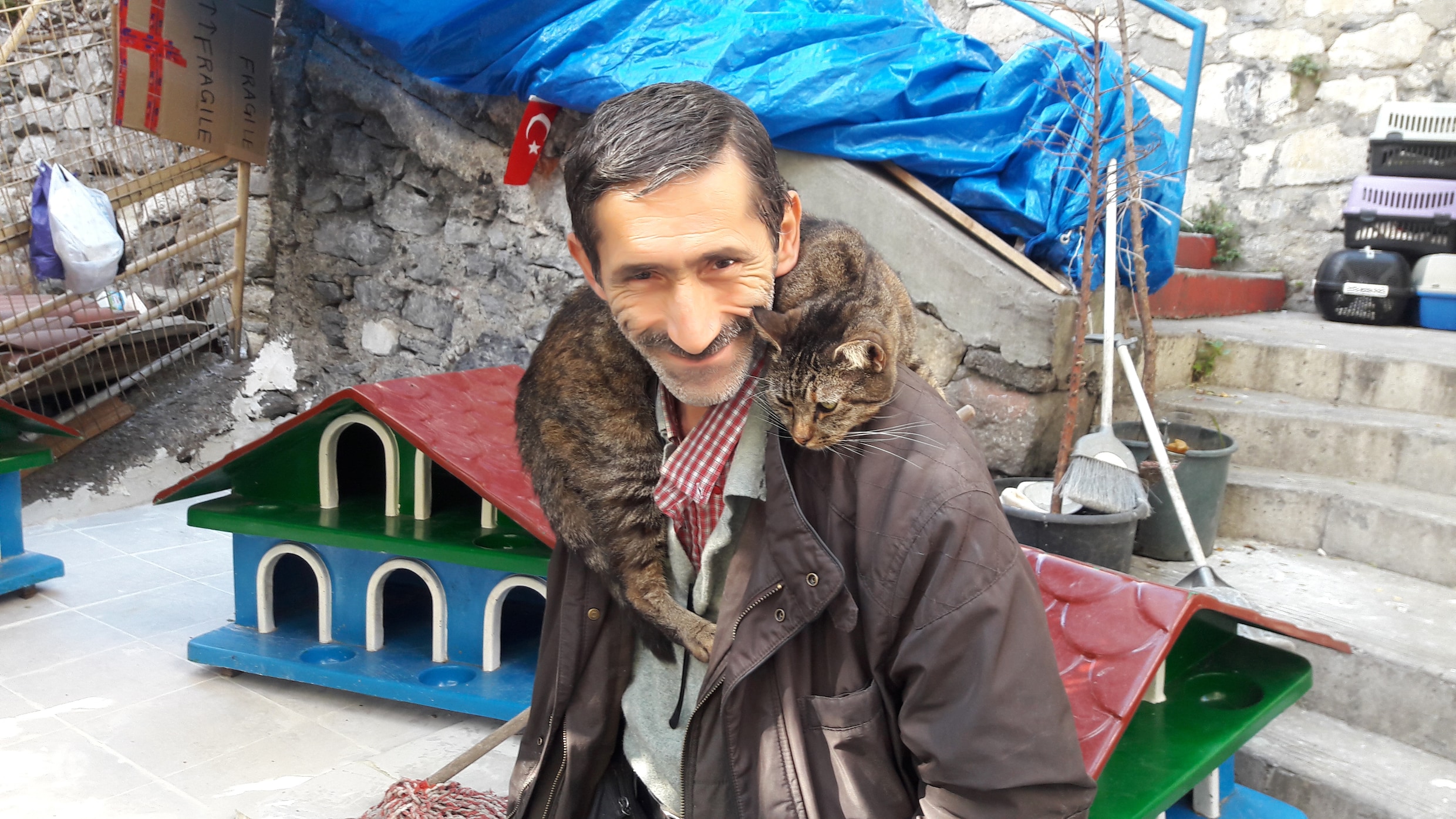 Straatkatten worden gevoed, verzorgd en vertroeteld in ‘Catstantinopel ...