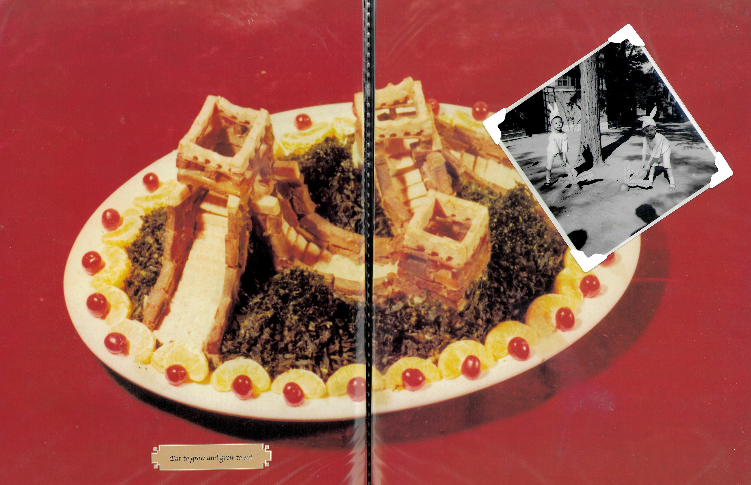 Het landschap steelt de show in de allermooiste fotoboeken van het jaar ...