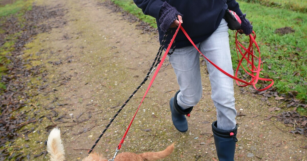 Vermoedelijk slachtoffer babyhandel naar rechter om geboortedatum te ...