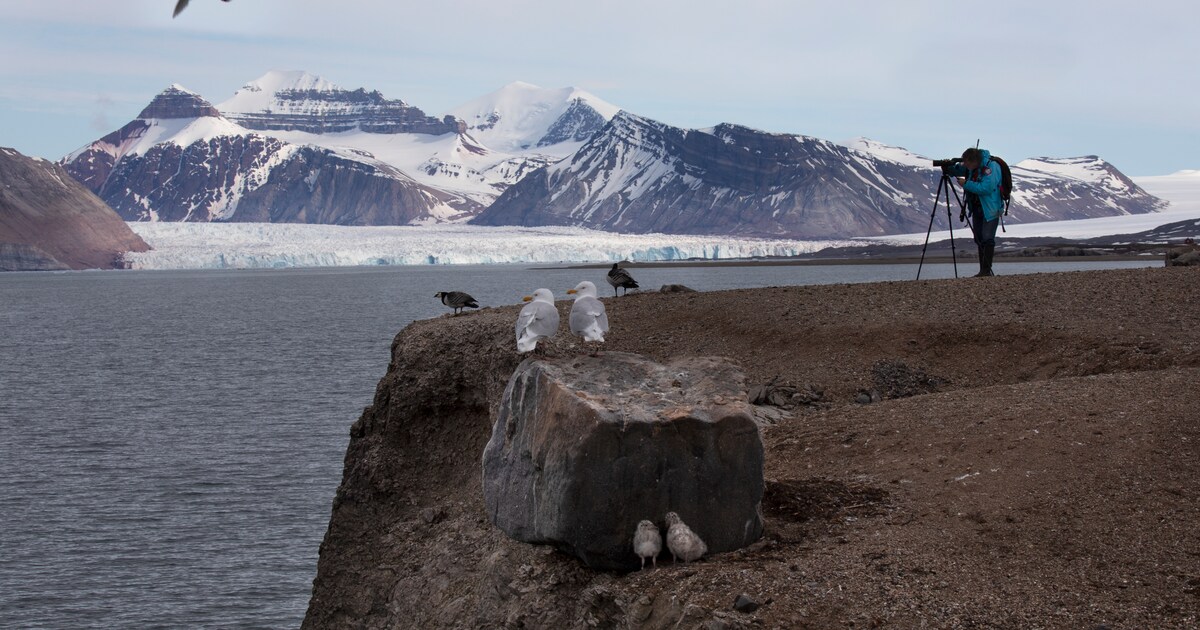 Zes wetenschappers die op Spitsbergen wonen: ‘Het raakt je hoor, het is ...