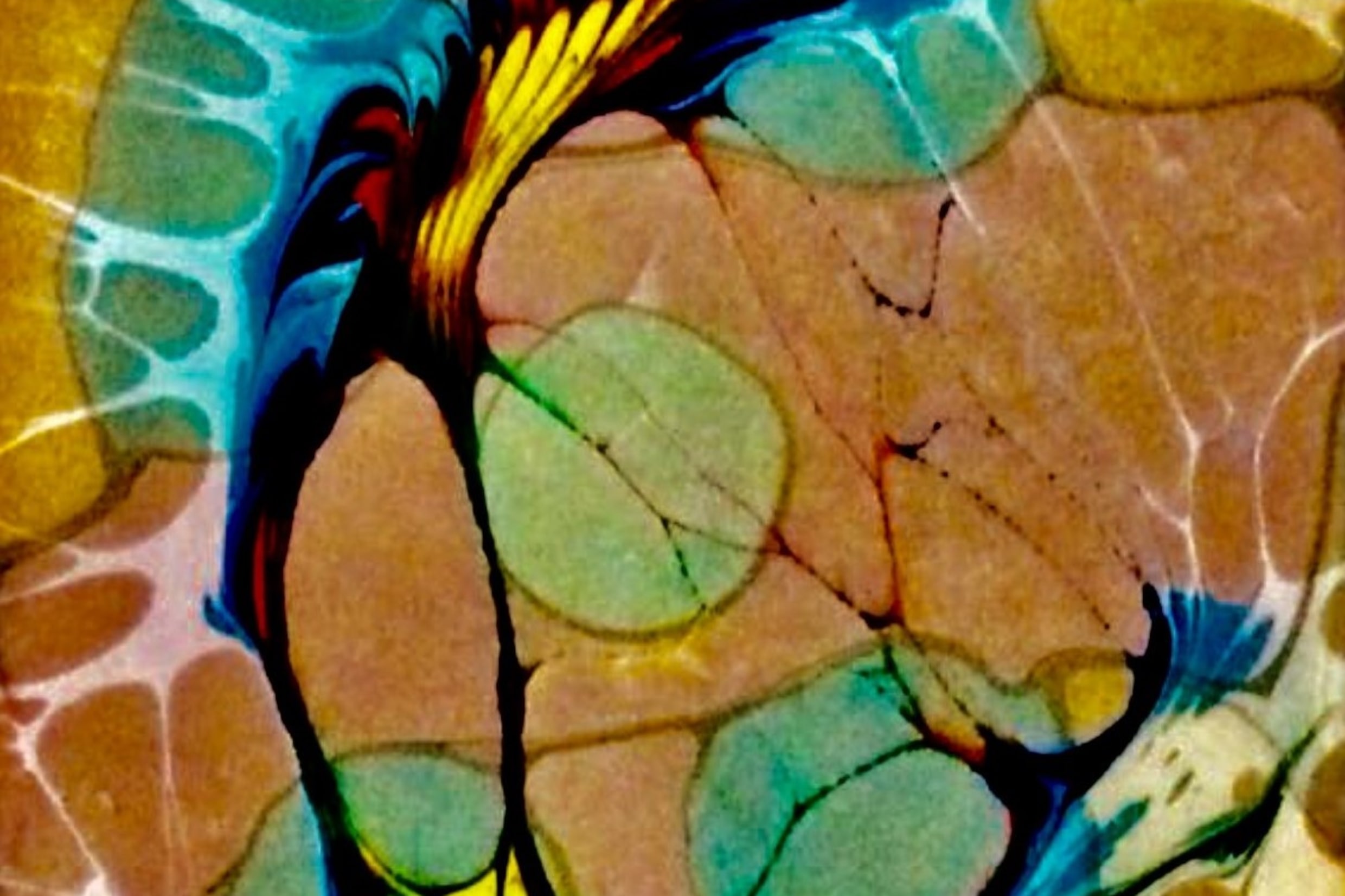 Ebru-kunst beleeft een opleving: ‘Je weet nooit precies hoe je werk ...