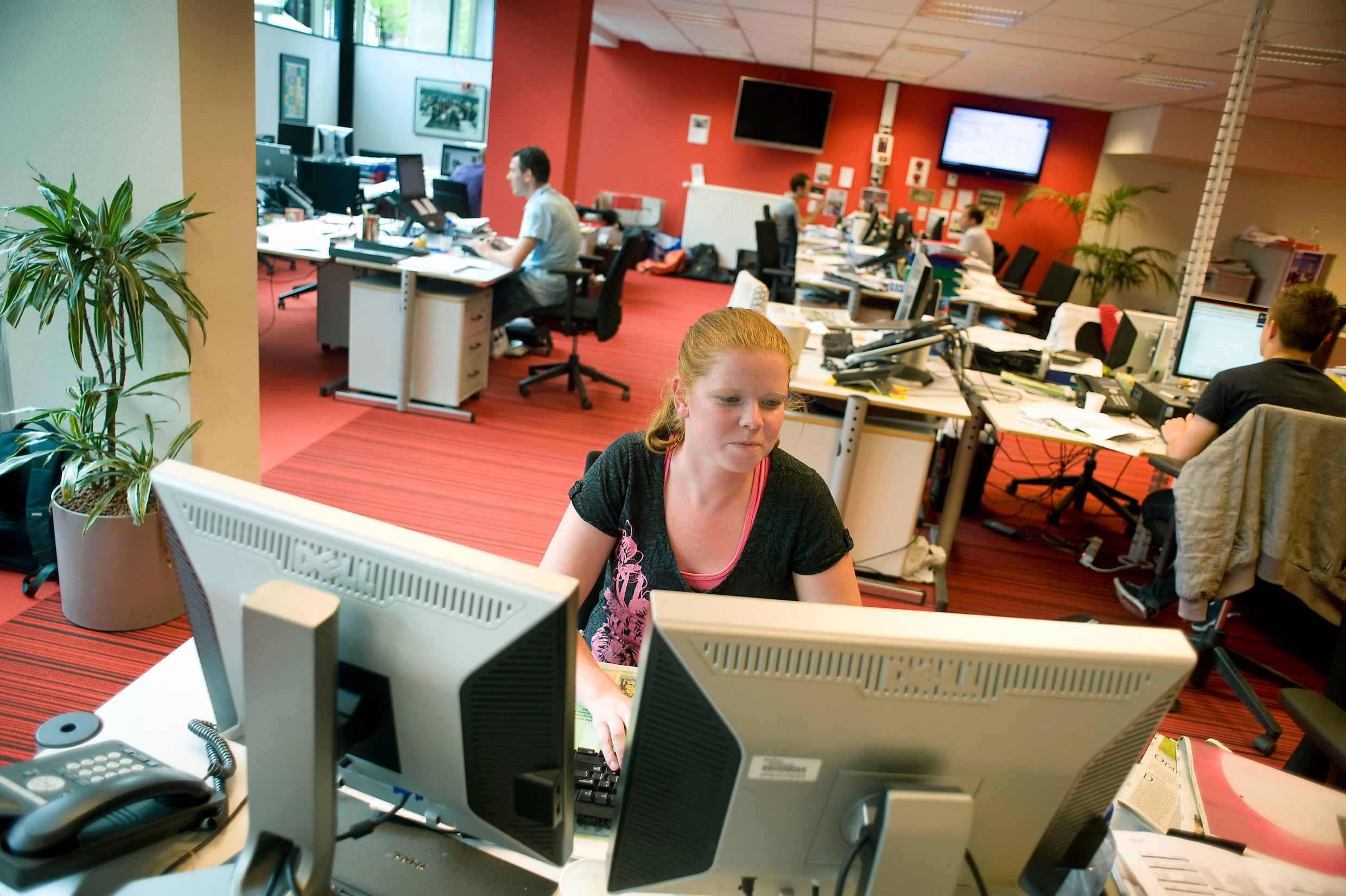 Werknemers lijden onder de kantoortuin | de Volkskrant