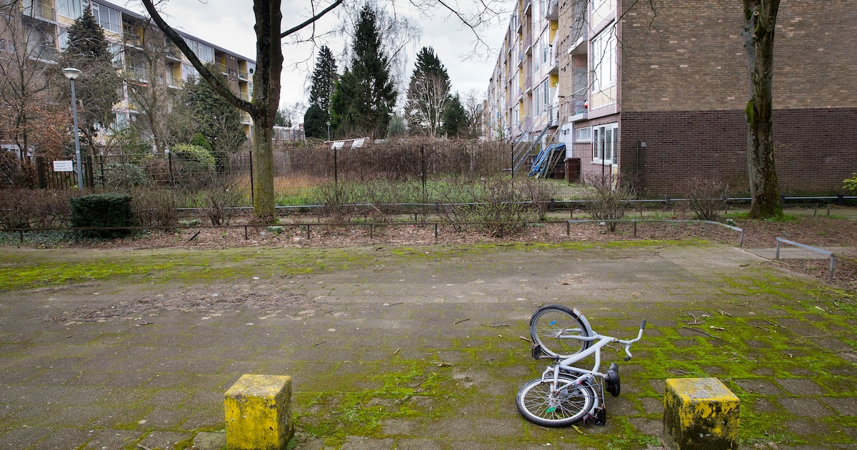 Opinie: Zolang de overheid een onstilbare datahonger heeft, hebben kinderen alle reden zich ...