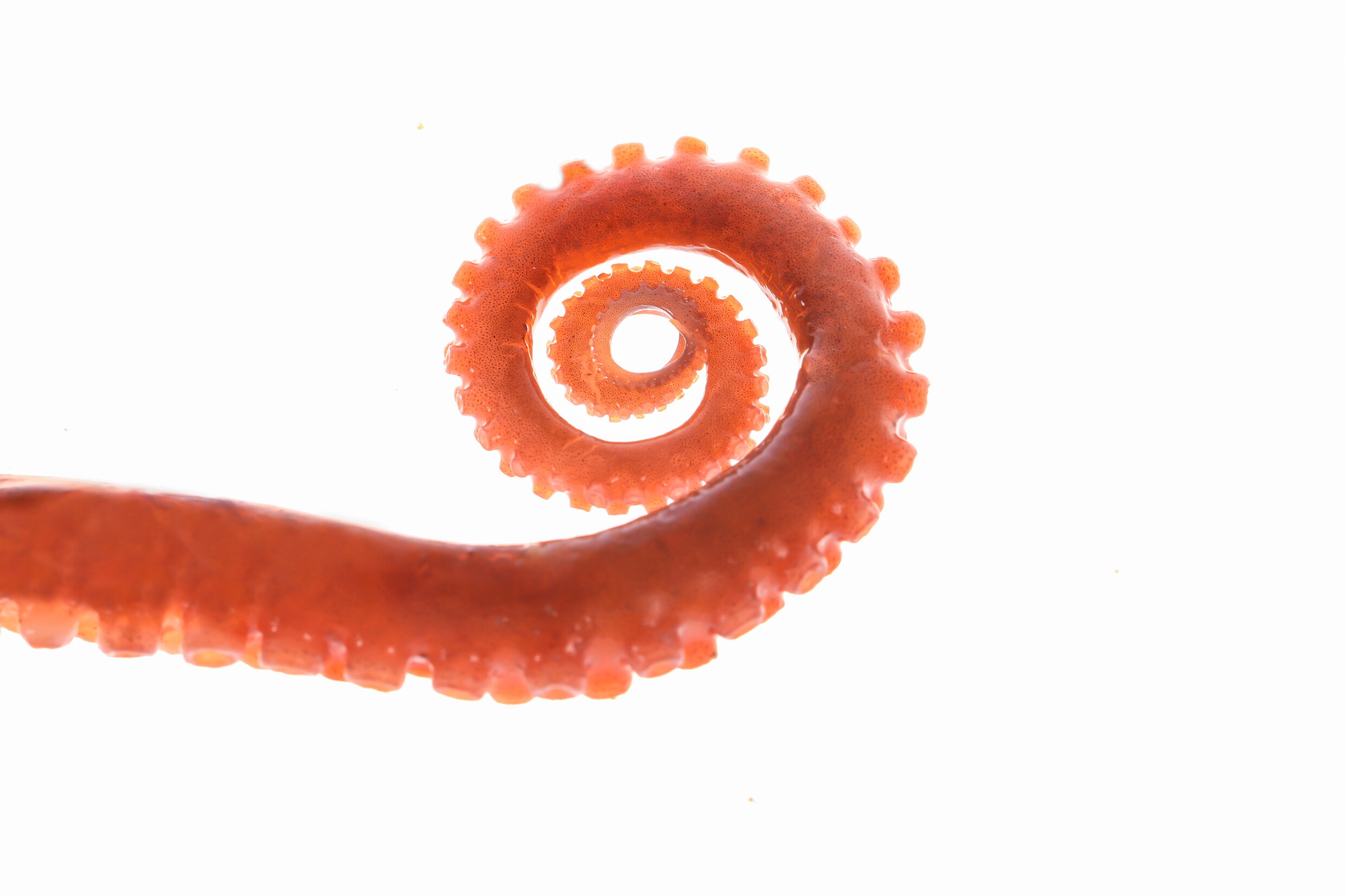 Vooruit denken, de ideale pijnstiller en autisme: drie inzichten uit ...