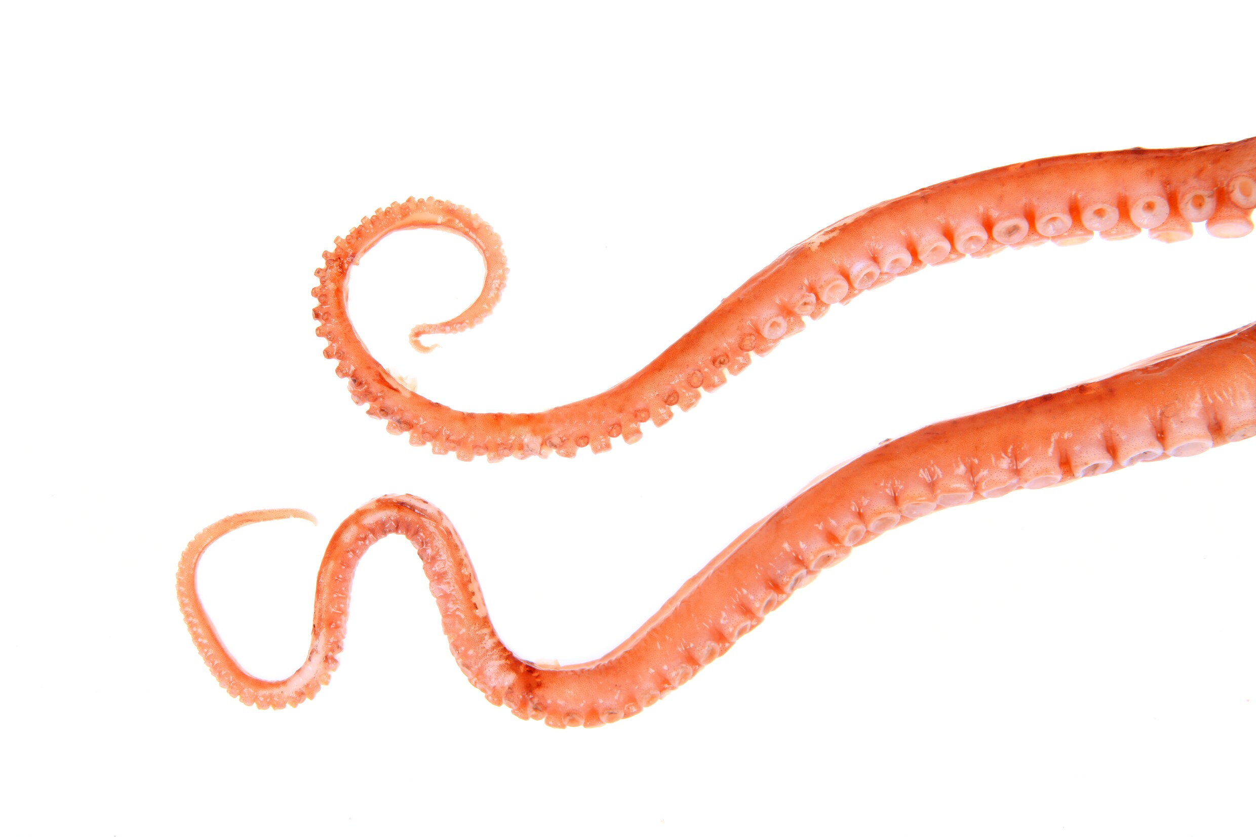 Vooruit denken, de ideale pijnstiller en autisme: drie inzichten uit ...