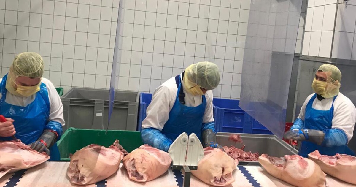 Slachthuis Helmond tot 2 juni dicht na nieuwe besmettingen | de Volkskrant