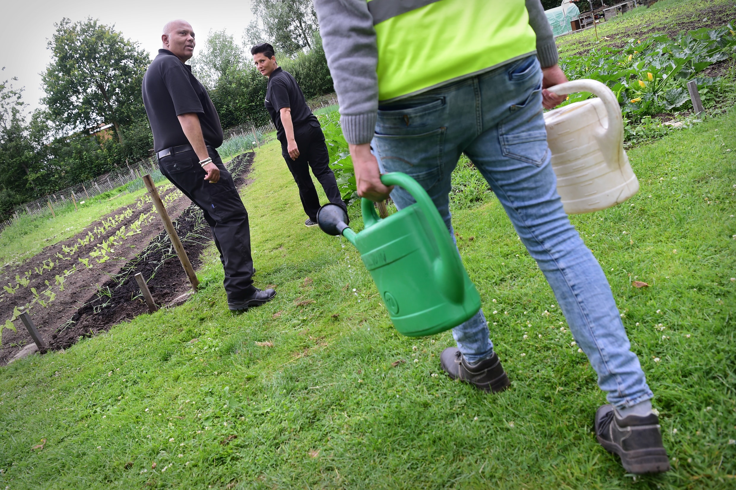 Reclassering: geef mensen die boetes niet betalen geen celstraf, maar ...