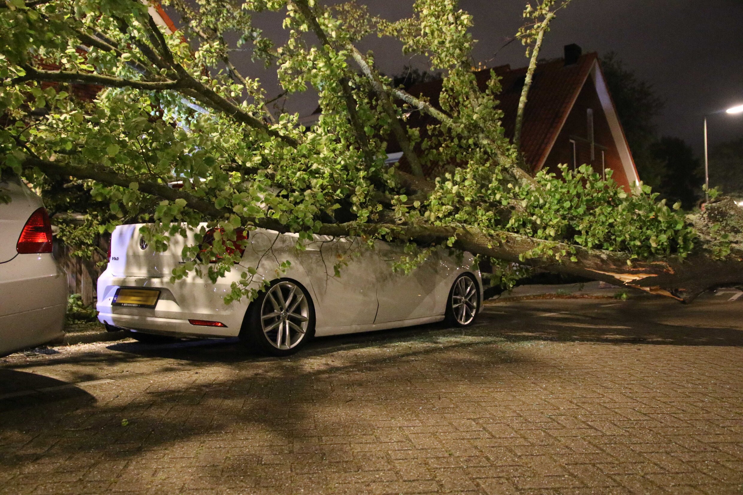 Zomerstorm Francis leidt tot schade, vooral door omwaaiende bomen | de ...