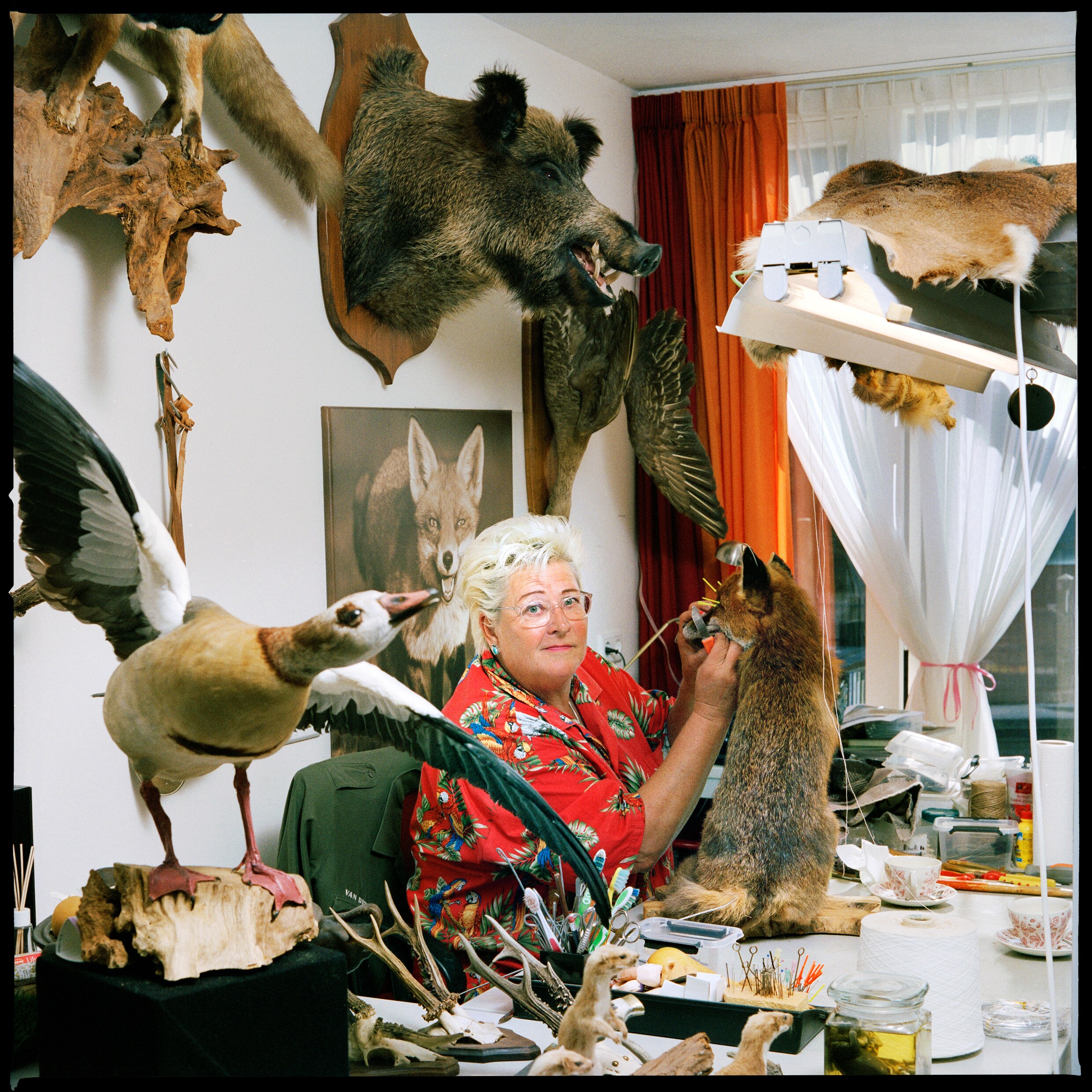 ‘In je eigen huisdier snijden, dat je ook levend kent, daar heb ik toch ...