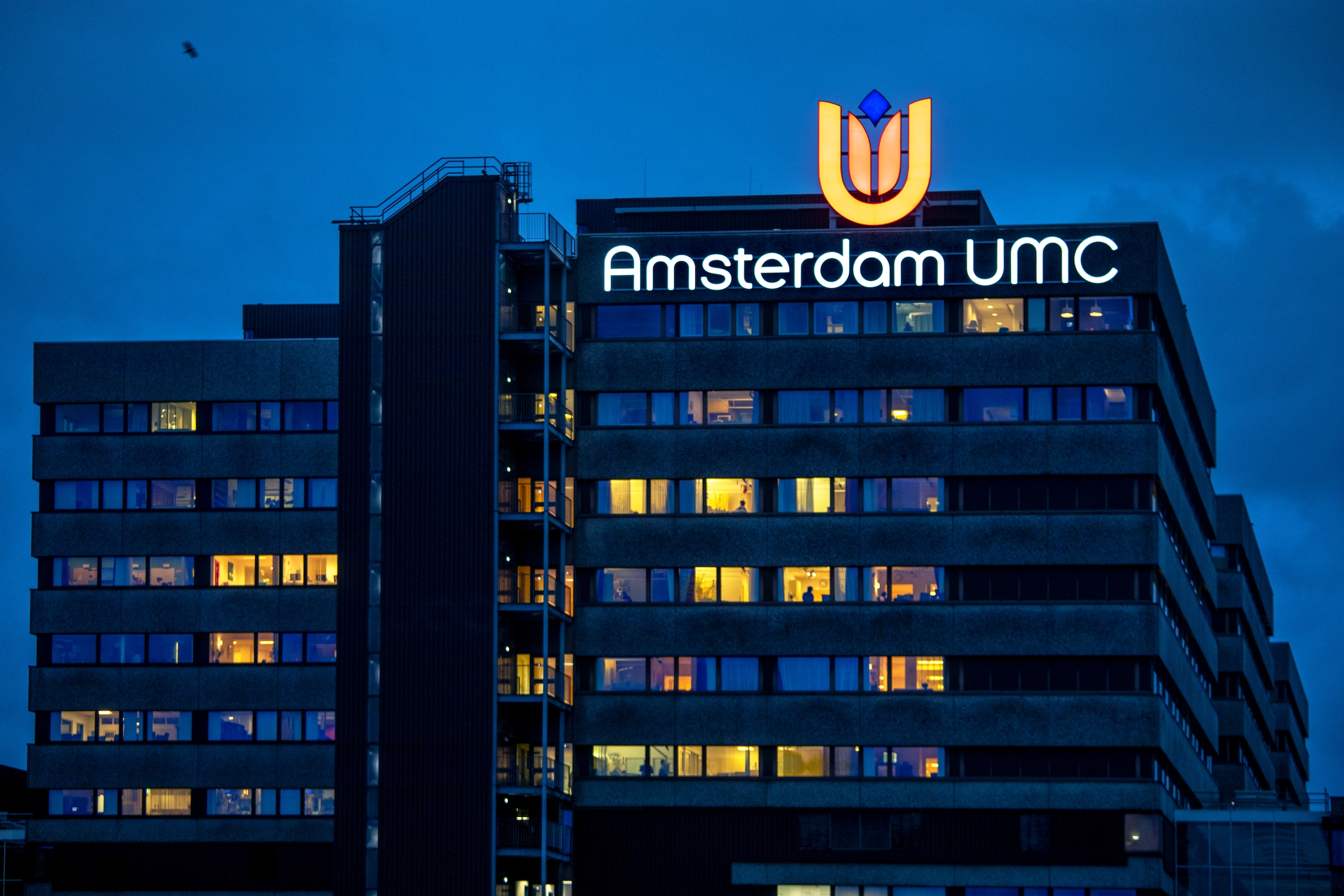 Amsterdamse artsen zien ‘supercoronavirus’ ontstaan in chronisch zieke ...