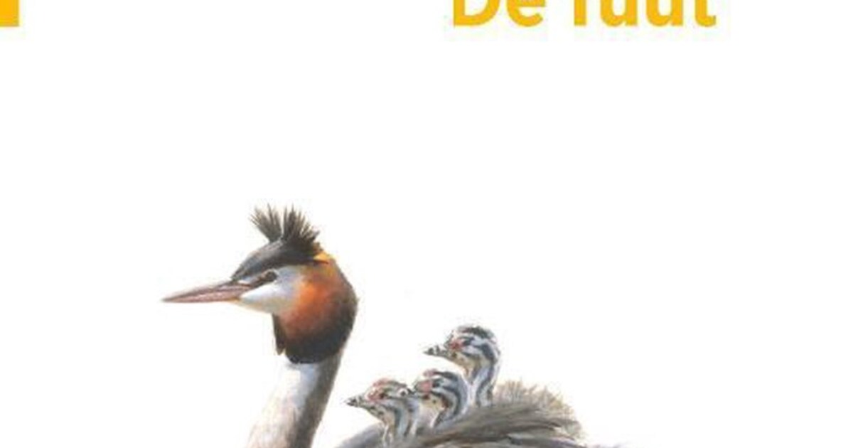 Ook de fuut heeft nu een eigen, vuistdikke monografie | de Volkskrant