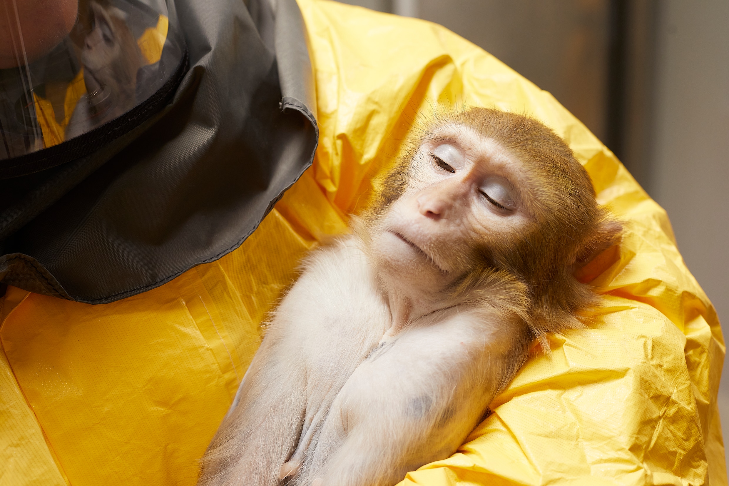 Opinie: Dierproeven zijn niet meer van deze tijd | de Volkskrant